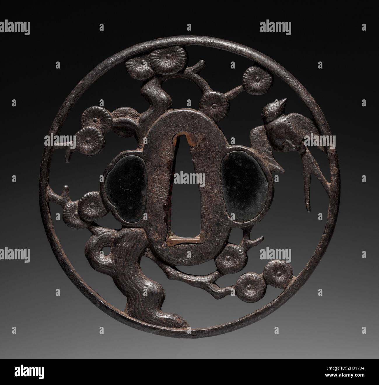 Sword swallow hi-res stock photography and images - Alamy