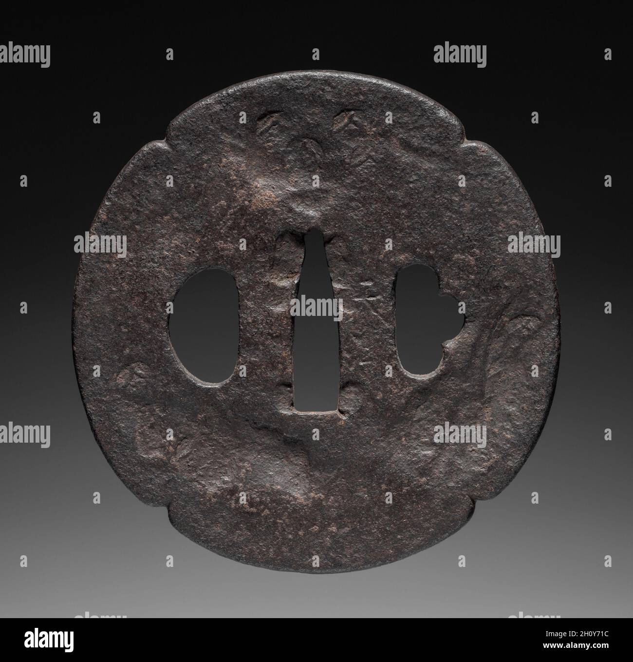 Sword Guard, early 1800s. Japan, Edo period (1615-1868). Iron; diameter ...
