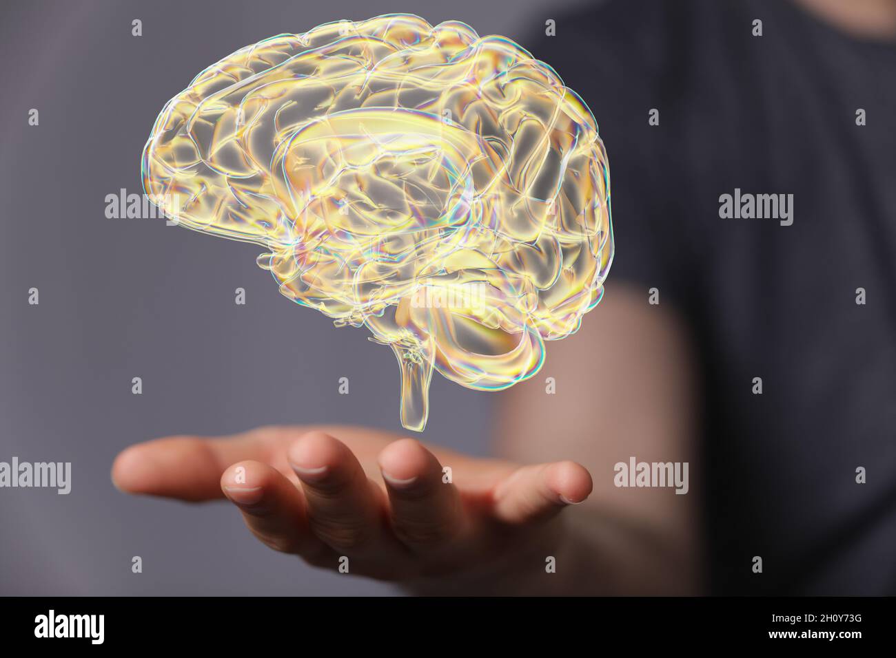 3D rendering of human brain anatomical model floating over a hand Stock ...