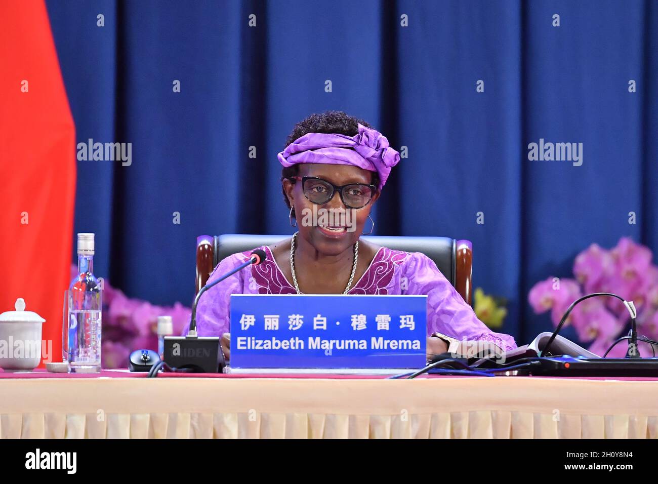 Elizabeth maruma mrema hi-res stock photography and images - Alamy