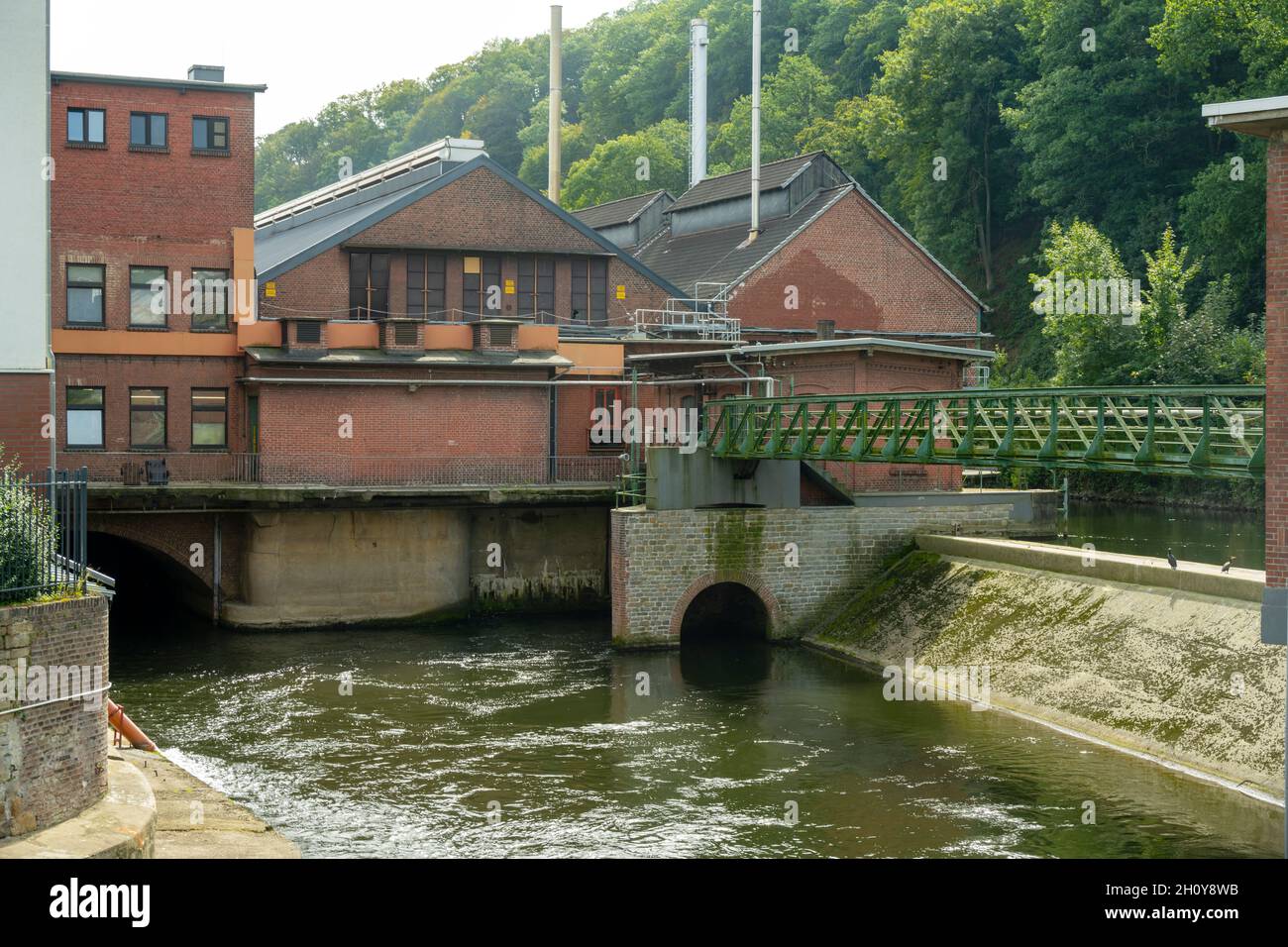 Lohmann High Resolution Stock Photography and Images - Alamy