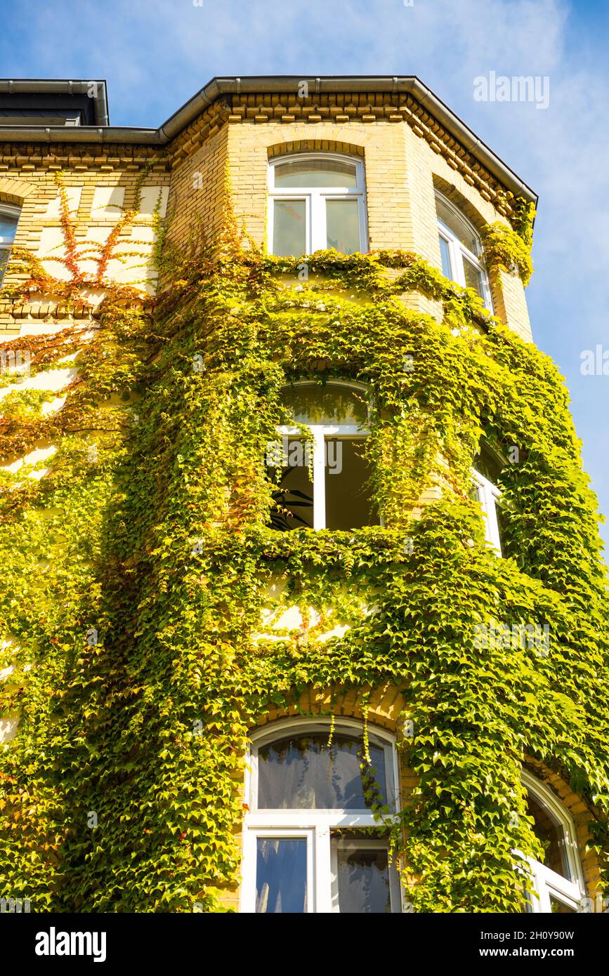 Building with green leaves on it under the sky Stock Photo - Alamy