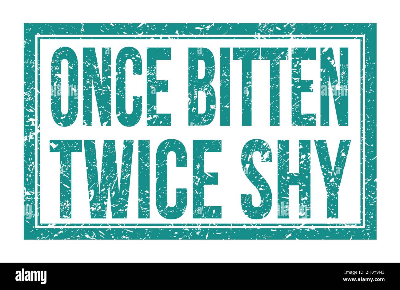 ONCE BITTEN TWICE SHY, words written on blue rectangle stamp sign Stock ...