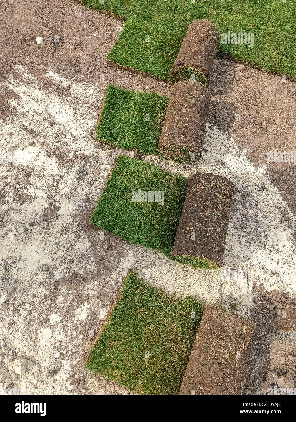 Rolled lawn preparation for laying. Twisted rolls of soil with grass on ...