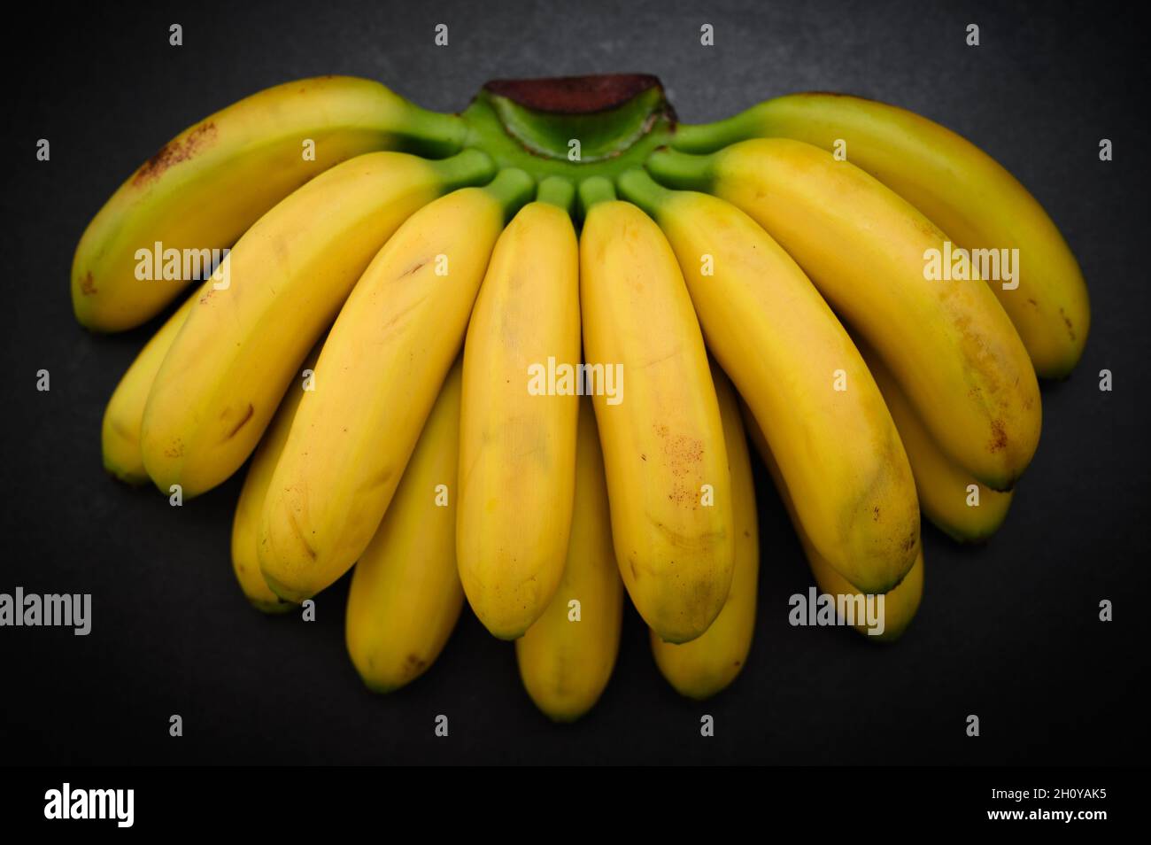Beautiful bunch of bananas hi-res stock photography and images - Alamy