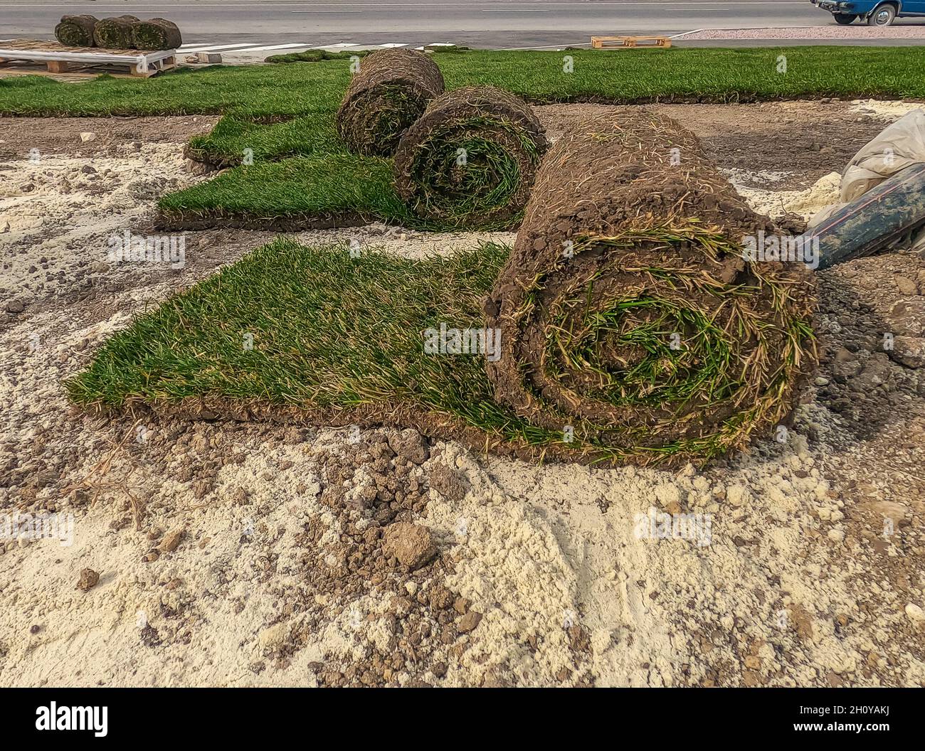Rolled lawn preparation for laying. Twisted rolls of soil with grass on ...