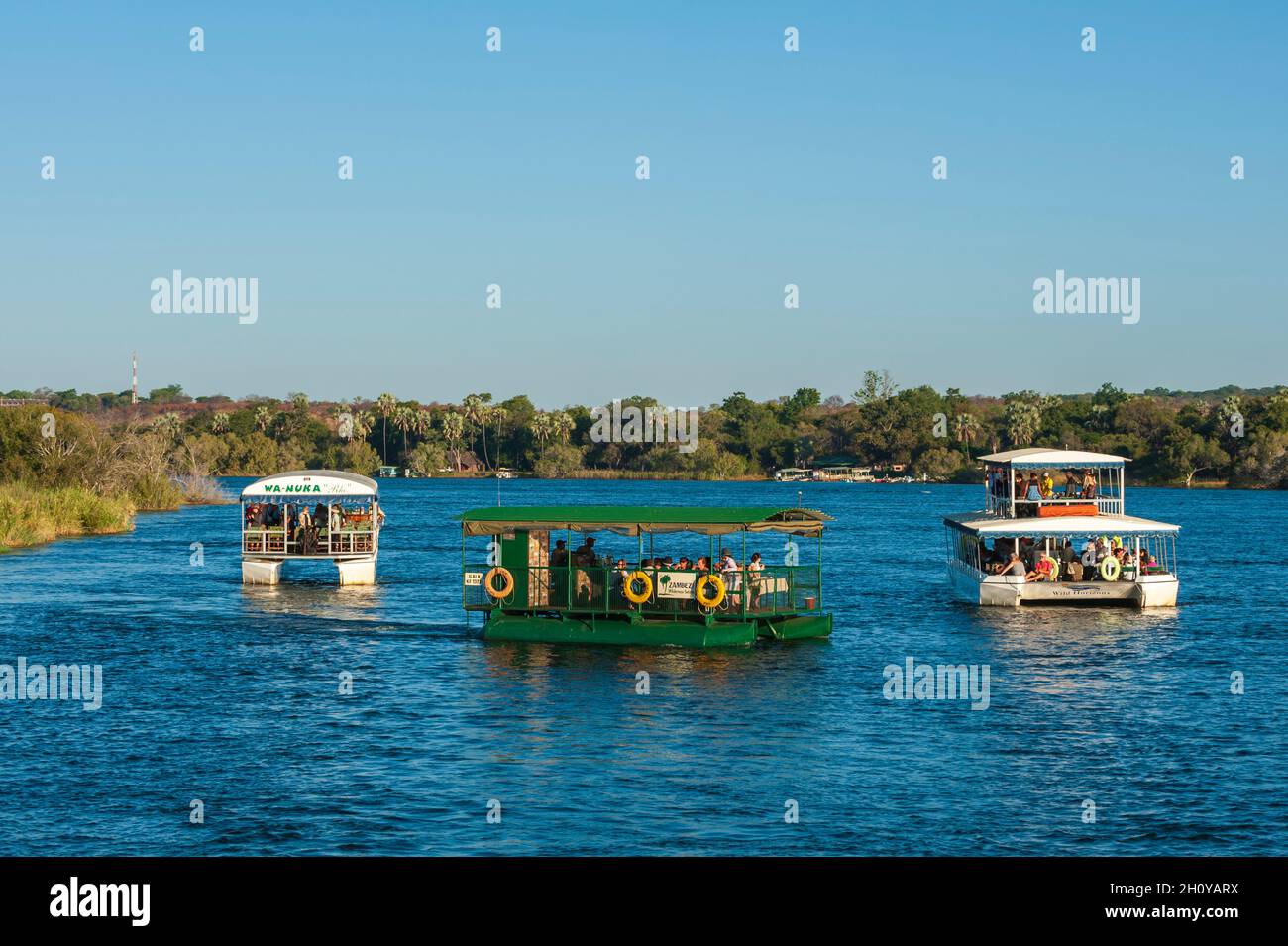 Photography tour in chobe national park hi-res stock photography and ...
