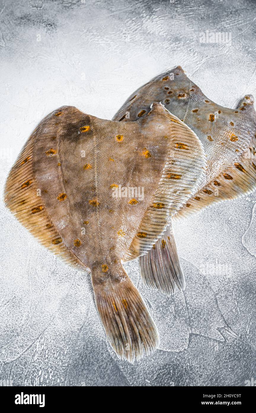 Raw whole flounder flatfish fish on kitchen table. White background ...