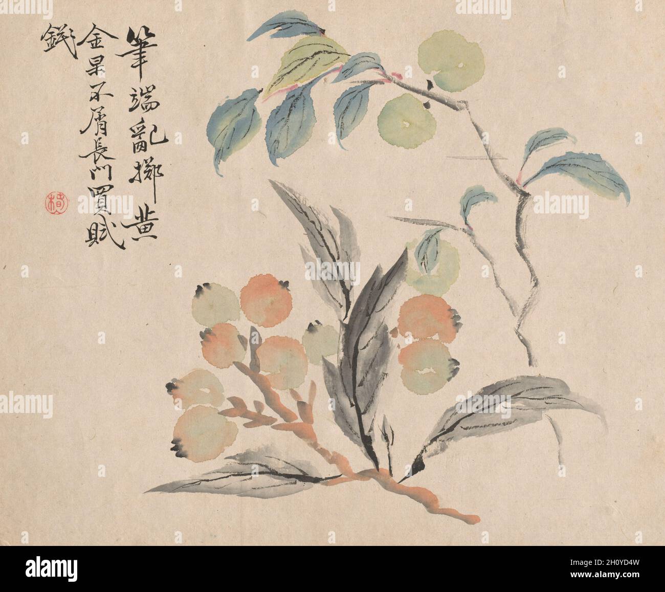 Loquat Tree of Japan, c. 1845-54. Tsubaki Chinzan (Japanese, 1801-1854 ...