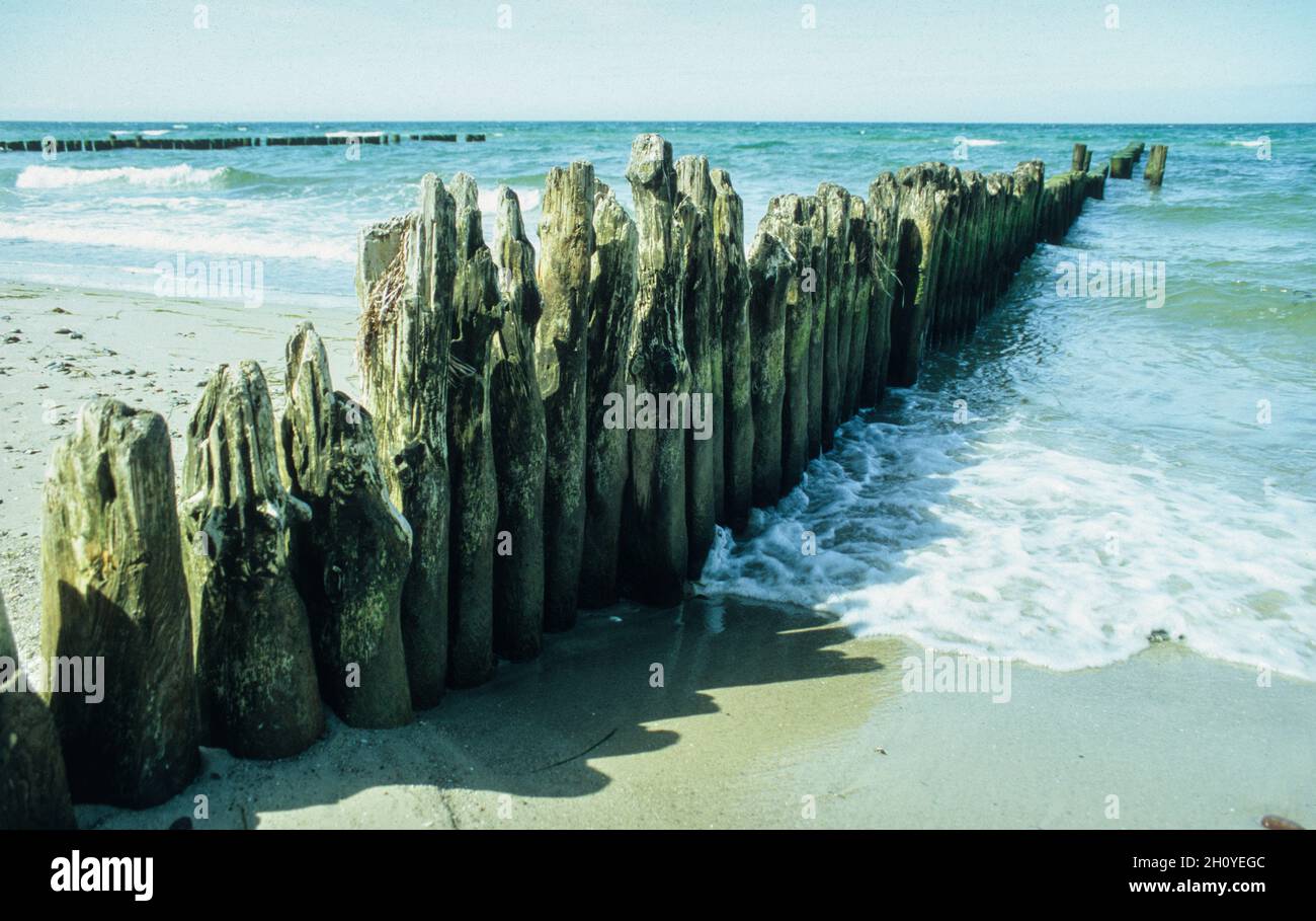 Festered hi-res stock photography and images - Alamy