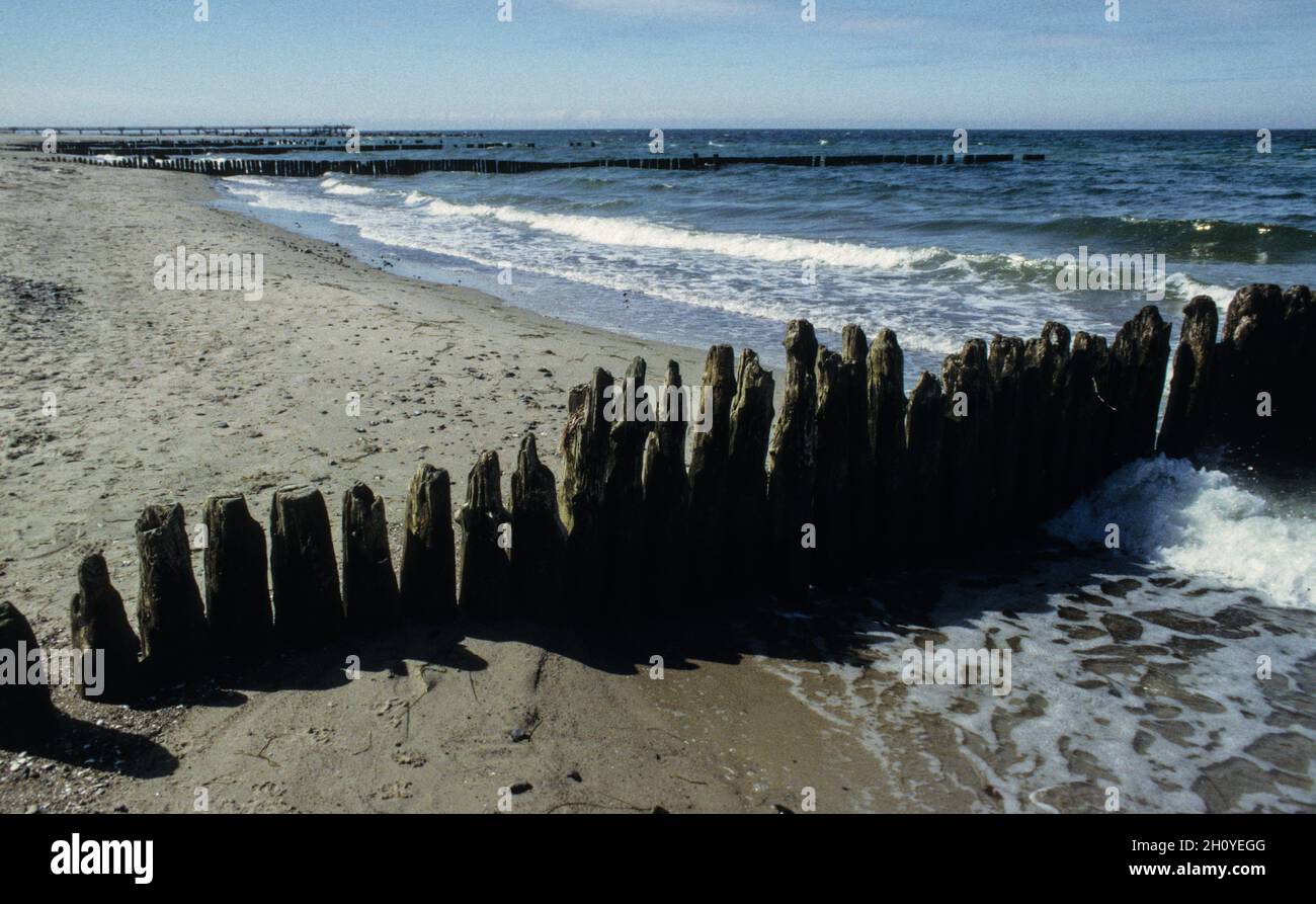 Festered hi-res stock photography and images - Alamy