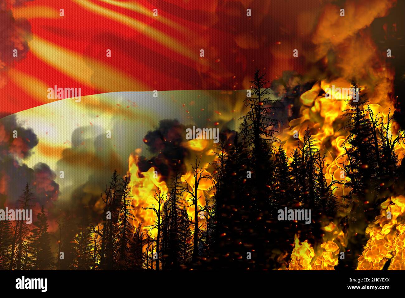 Big forest fire fight concept, natural disaster - infernal fire in the ...