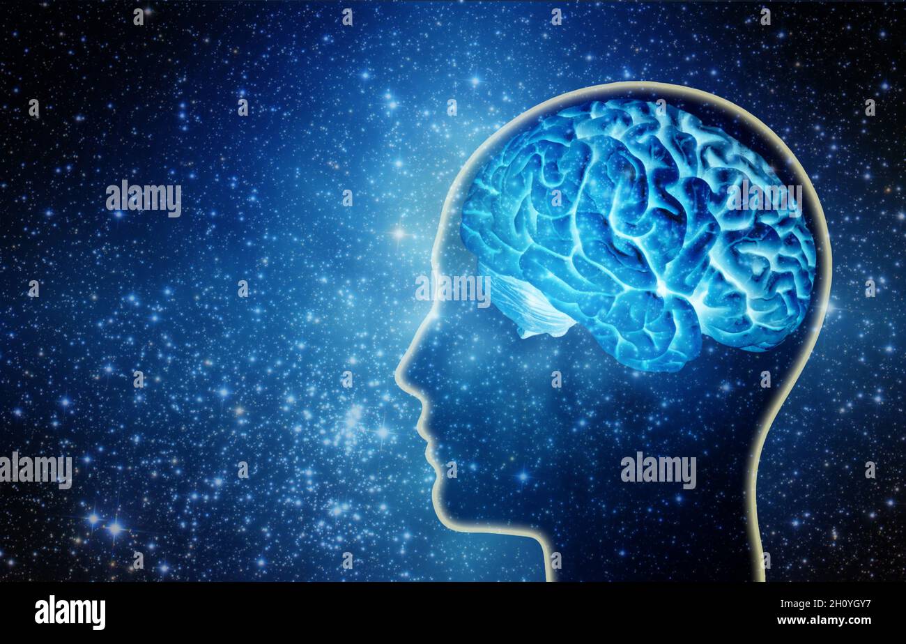 human head shape and brain showing Stock Photo - Alamy