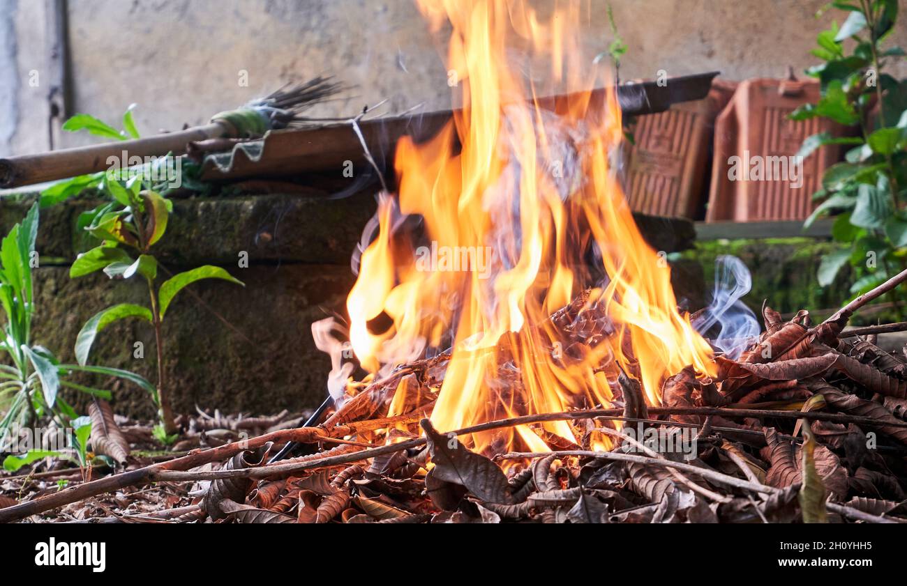 Burning dry leaves in the yard. big fire Stock Photo - Alamy