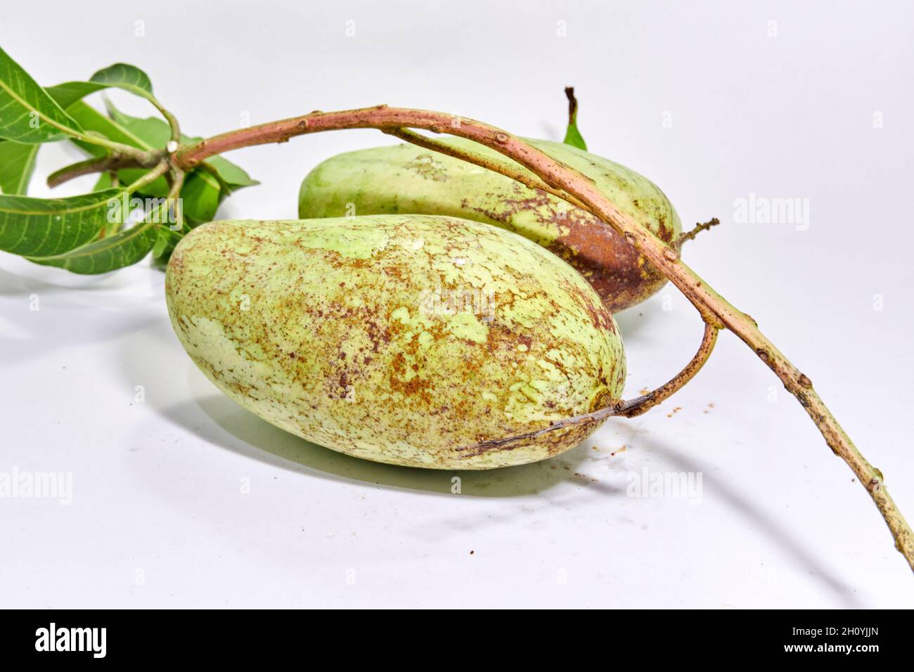 Close-up of fresh mango fruit. vitamin fruit. delicious mango ready to ...