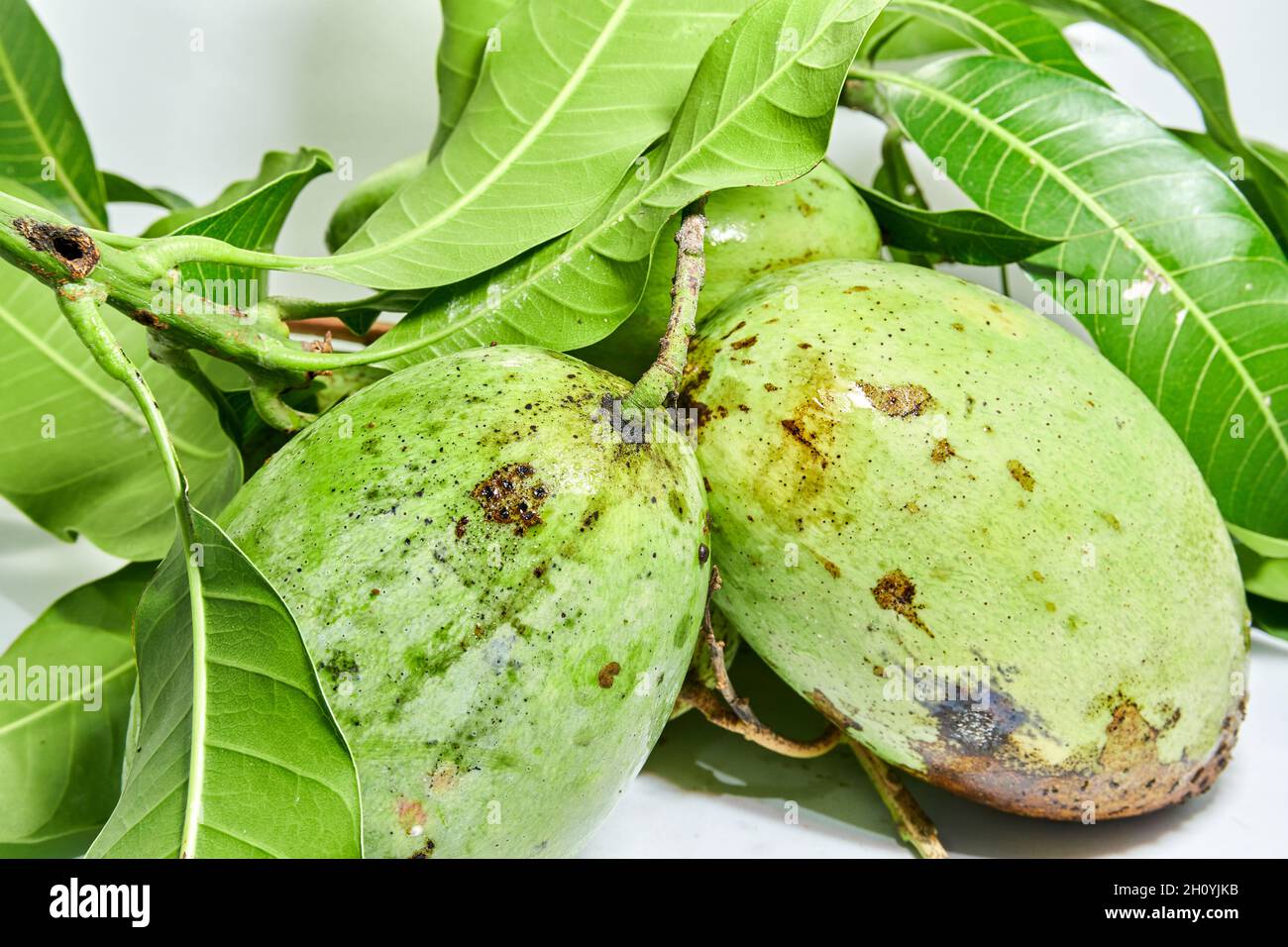 Close-up of fresh mango fruit. vitamin fruit. delicious mango ready to ...