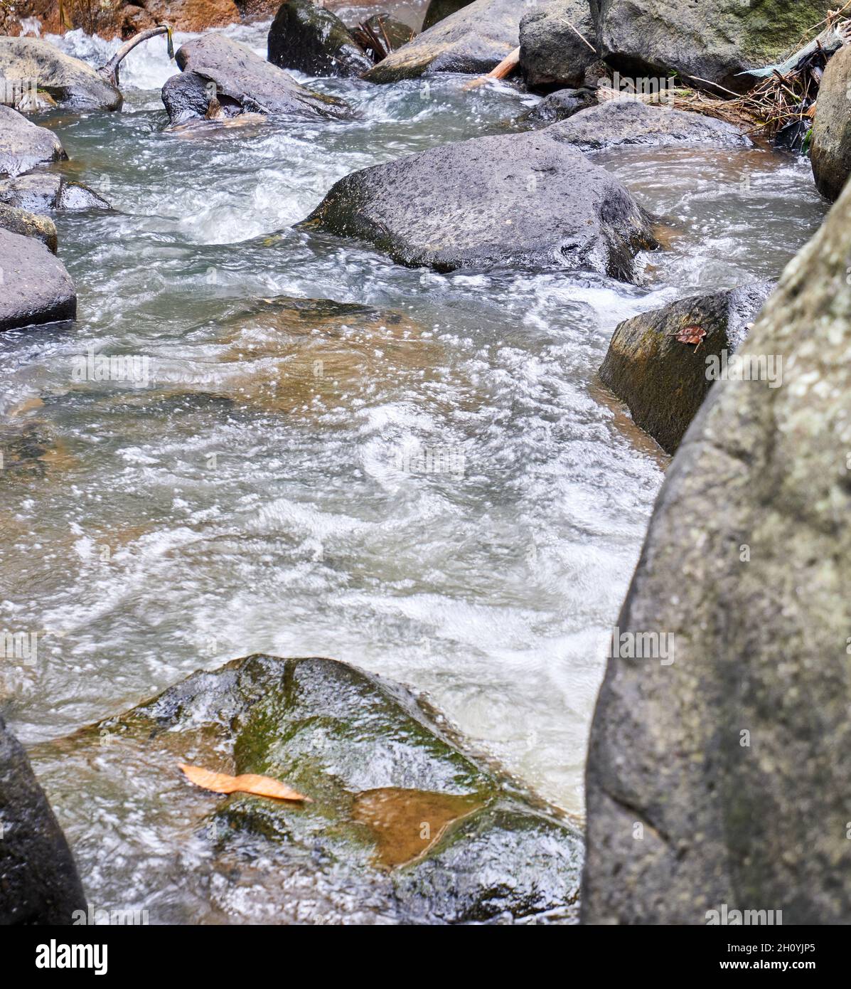 Small narrow river in summer hi-res stock photography and images - Alamy