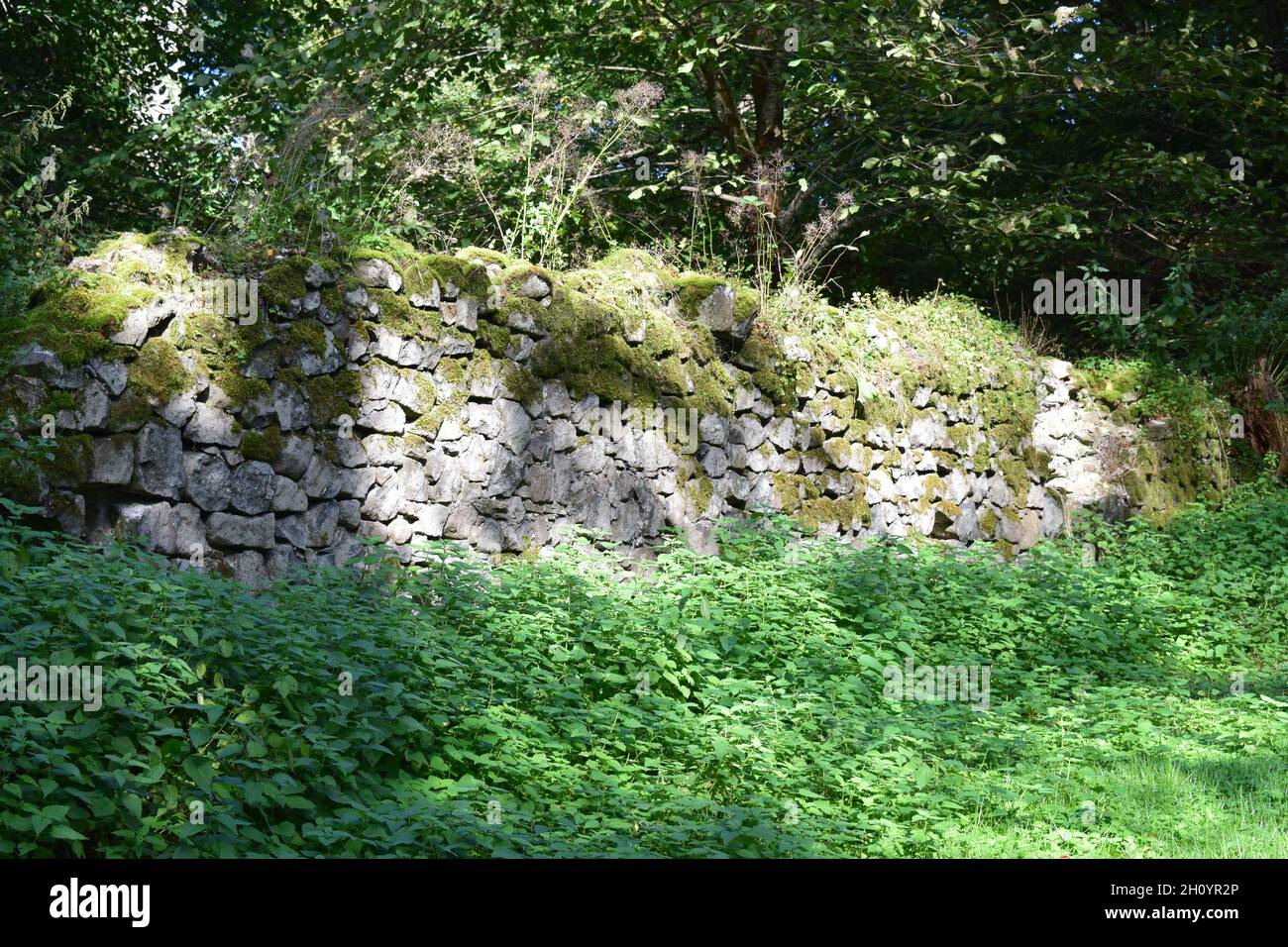 remaining wall of former Burg Aremberg Stock Photo - Alamy
