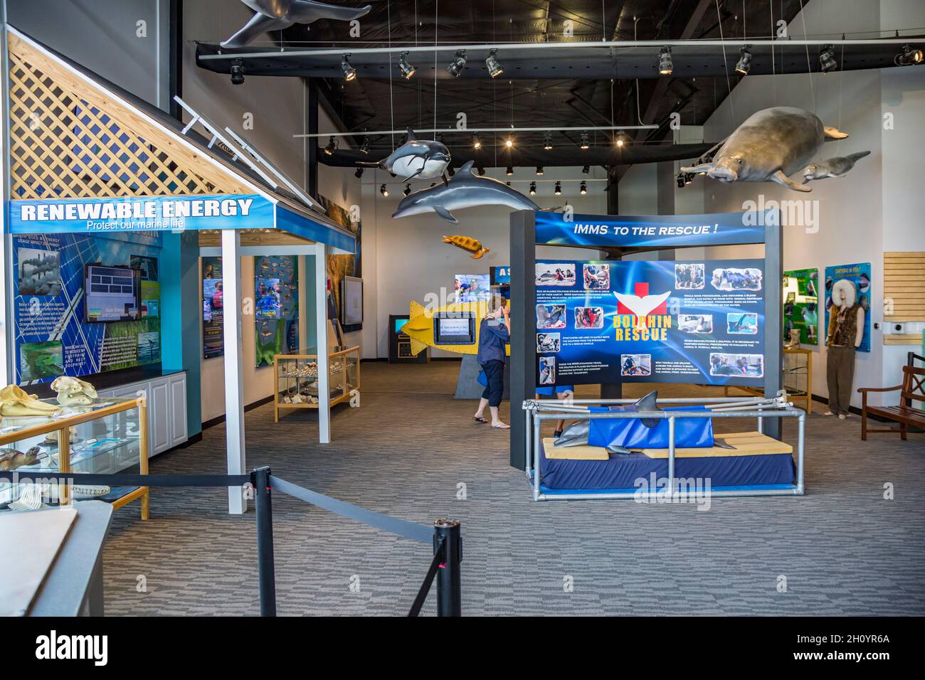 Displays in the IMMS museum at Ocean Adventures Marine Park in Gulfport ...