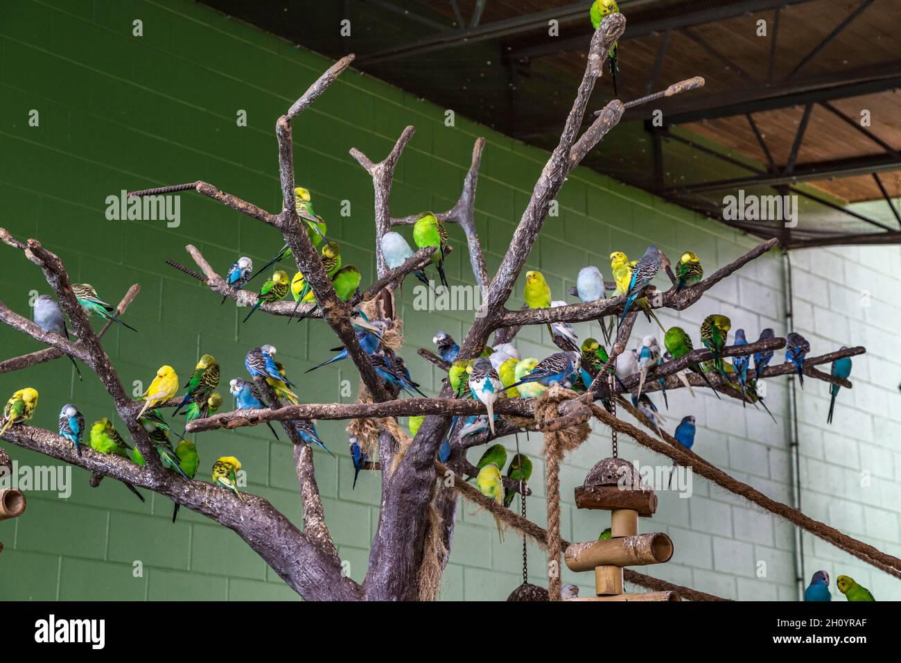Mississippi and birds hi-res stock photography and images - Alamy