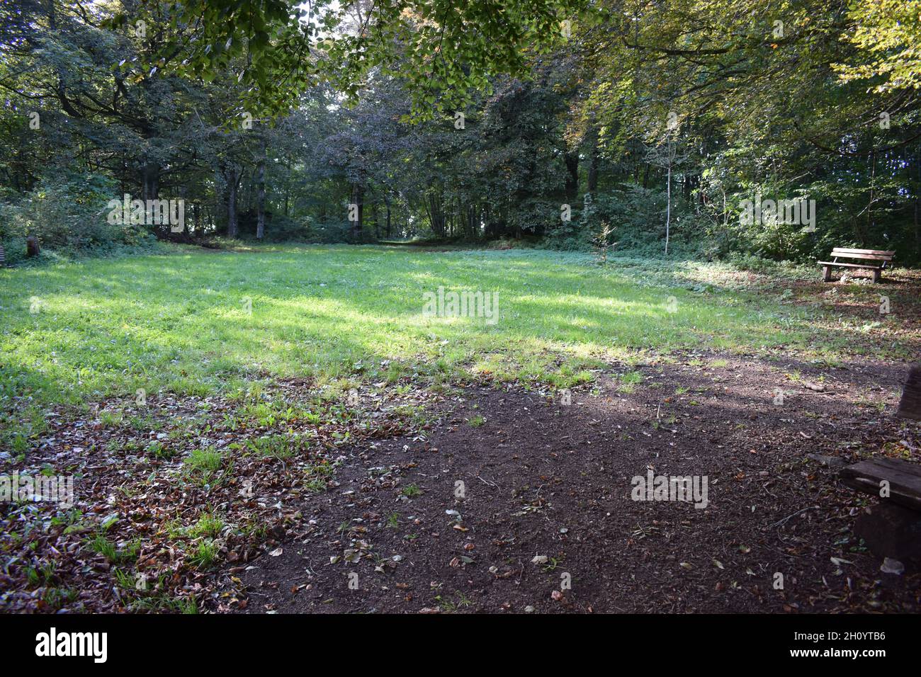plateau on ruin of Burg Aremberg Stock Photo - Alamy
