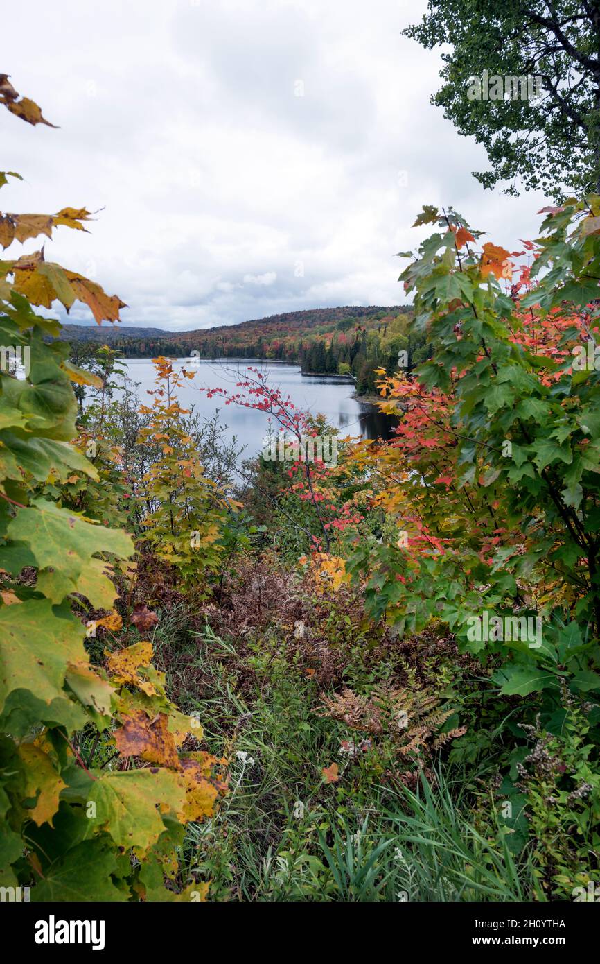 Bouchard lake hi-res stock photography and images - Alamy