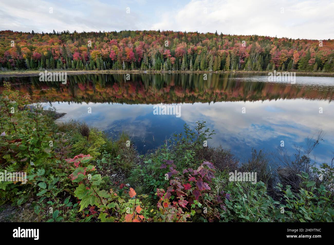 Canada, Quebec, Mauricie NP, lac à Sam Stock Photo - Alamy