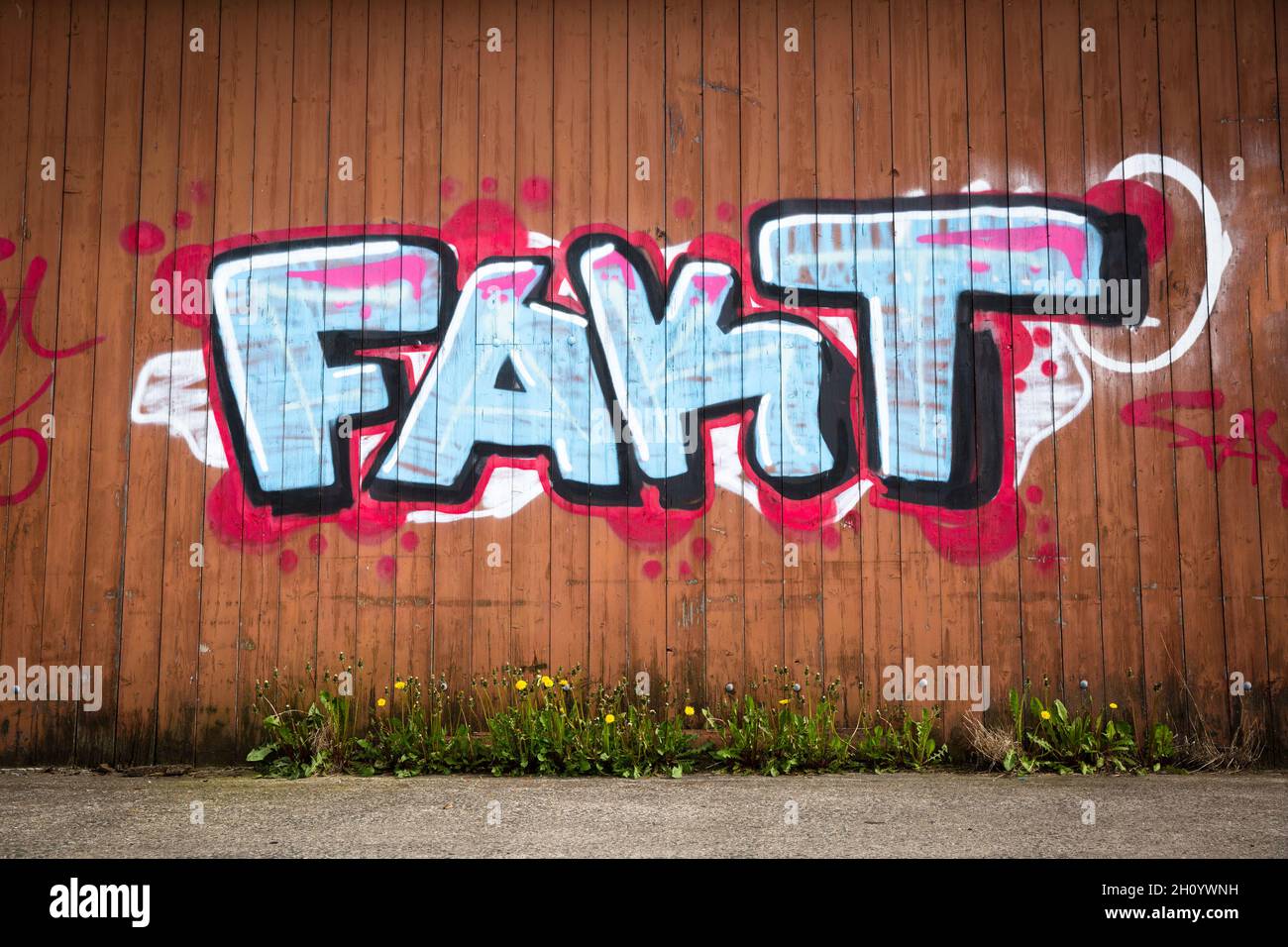 Fact. Characters, Graffiti On A Board Wall. Fact Stock Photo - Alamy
