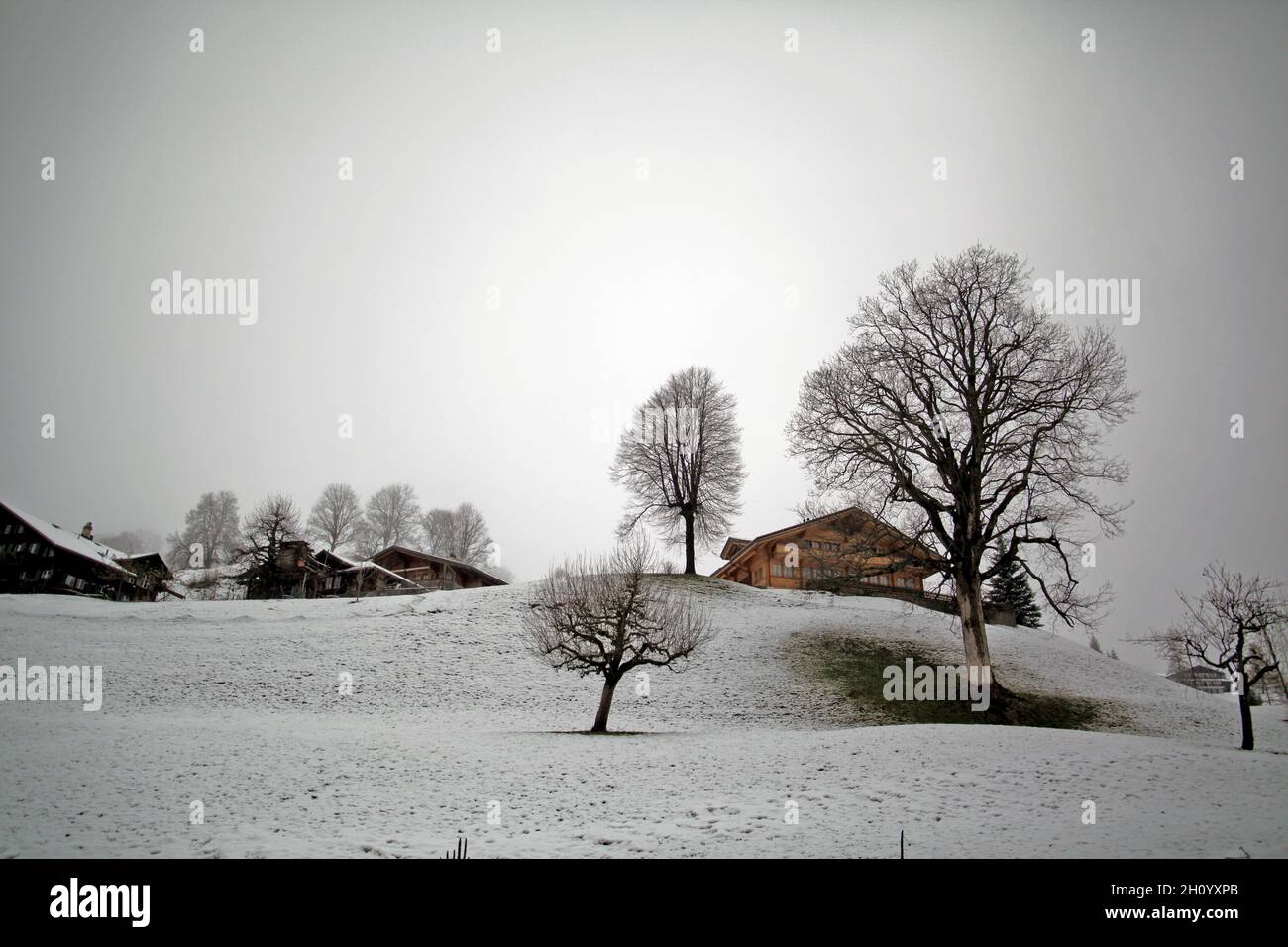 Snow in Grindelwald Switzerland Stock Photo - Alamy