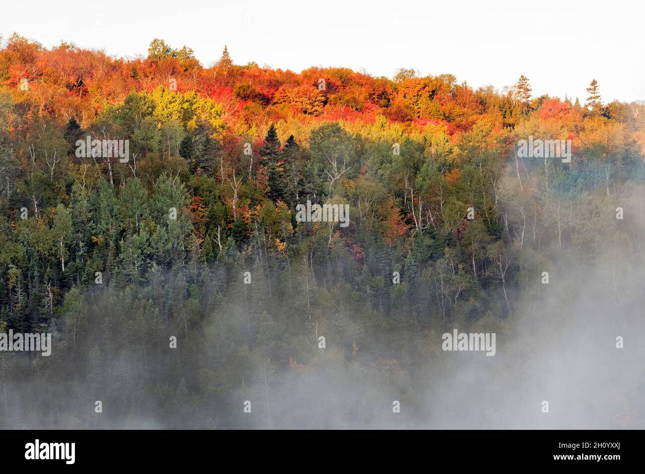 Canada, Quebec, Fjords Saguenay NP, trees Stock Photo - Alamy