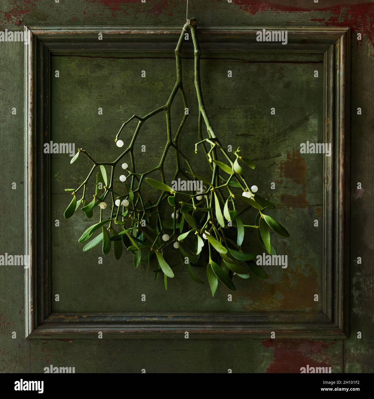Hanging mistletoe hi-res stock photography and images - Alamy