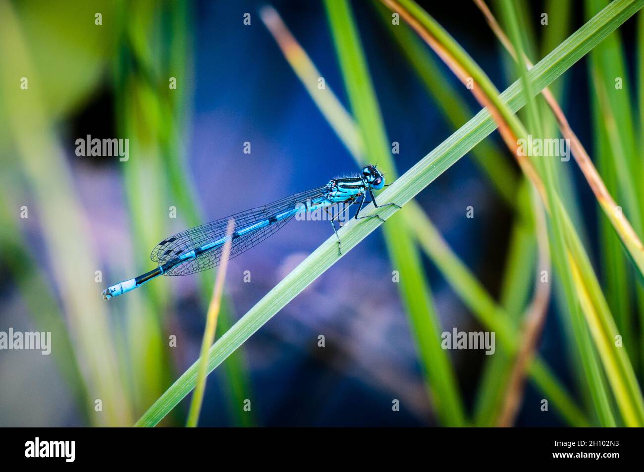 Natur ilm kreis hi-res stock photography and images - Alamy