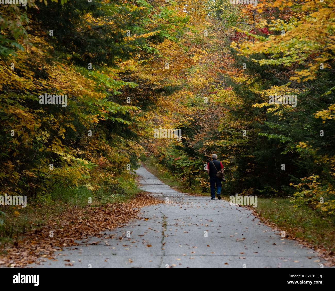 Walking fall leaves not family hi-res stock photography and images - Alamy