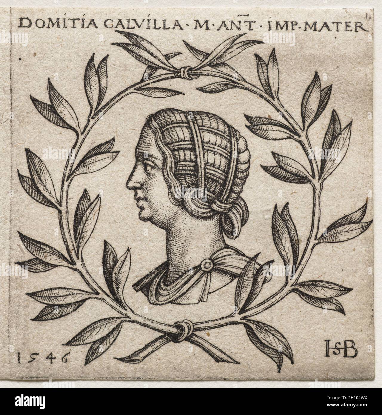 Domitia calvilla hi-res stock photography and images - Alamy