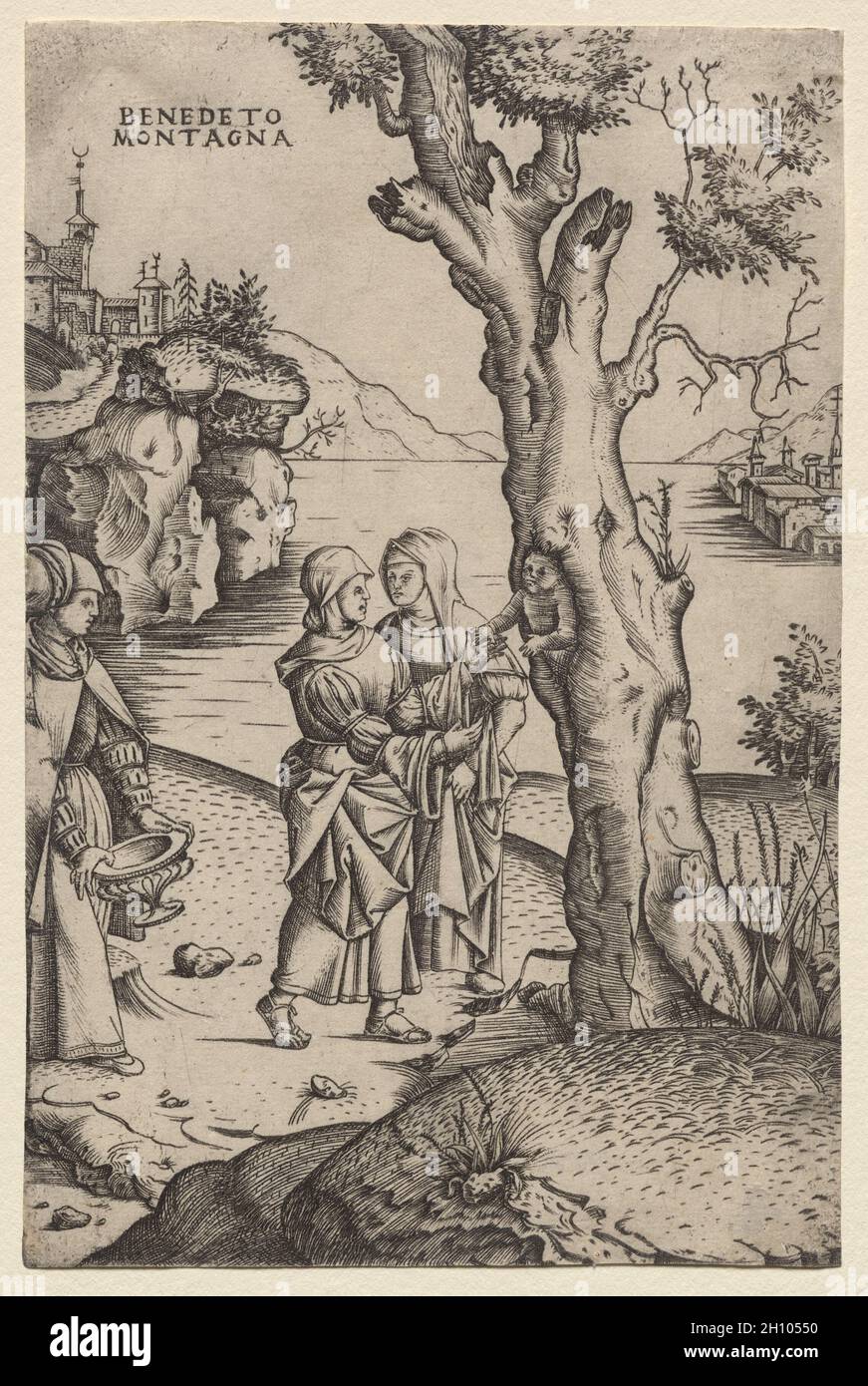 Birth of Adonis (from the series: The Metamorphoses), c. 1515-1520 ...