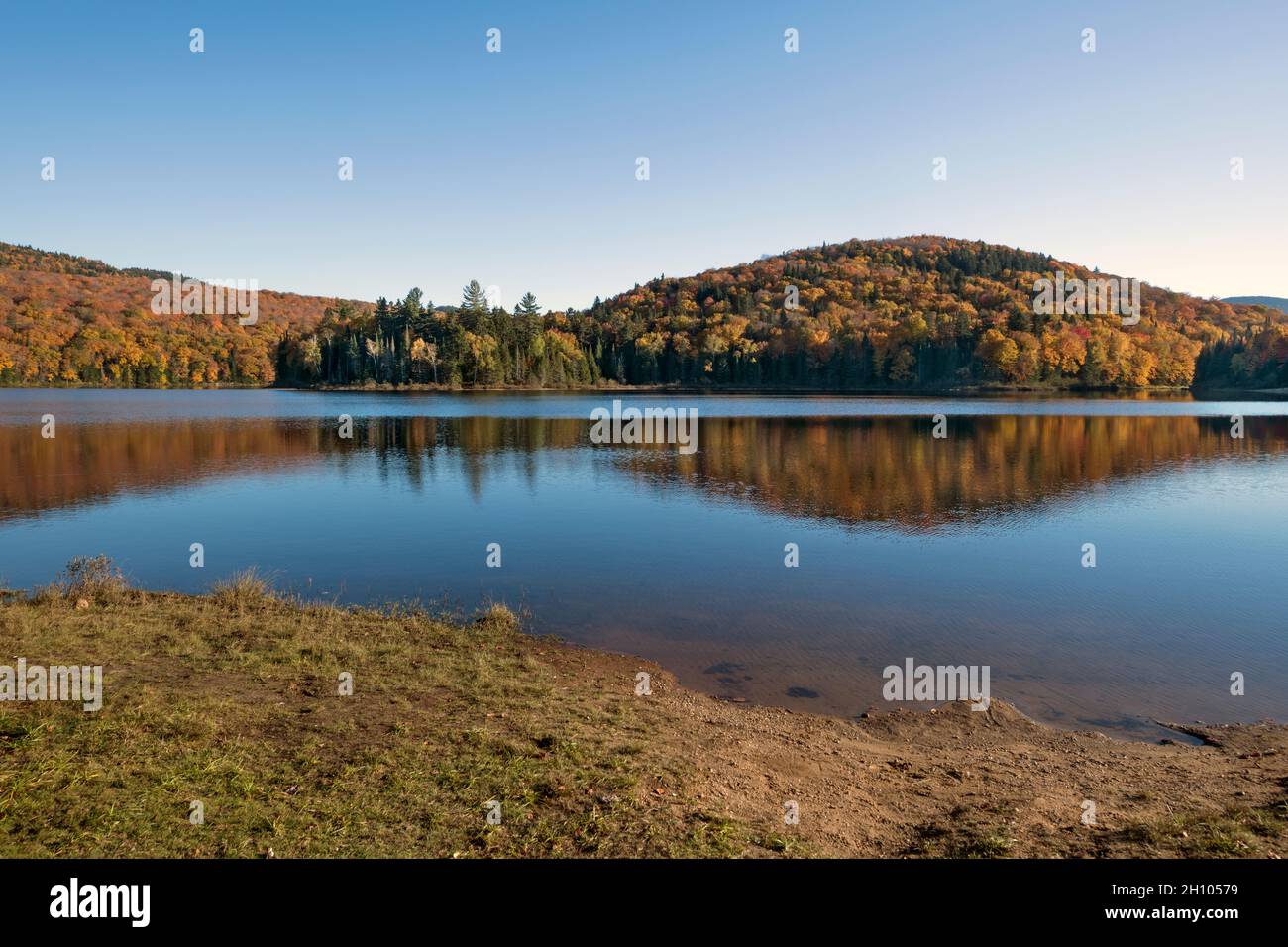 Lac chat hi-res stock photography and images - Alamy
