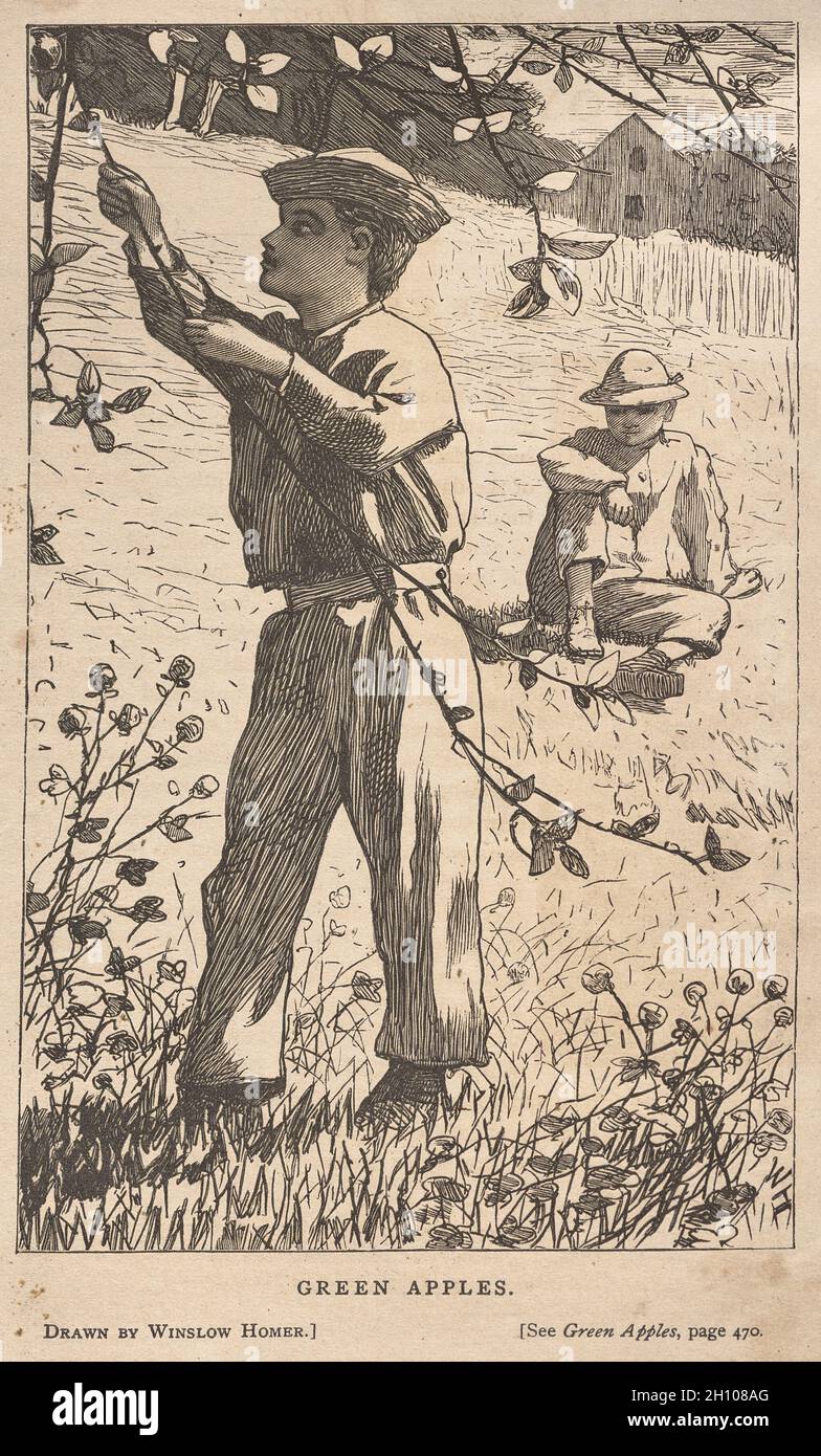 Green Apples, 1868. Winslow Homer (American, 1836-1910). Wood engraving ...