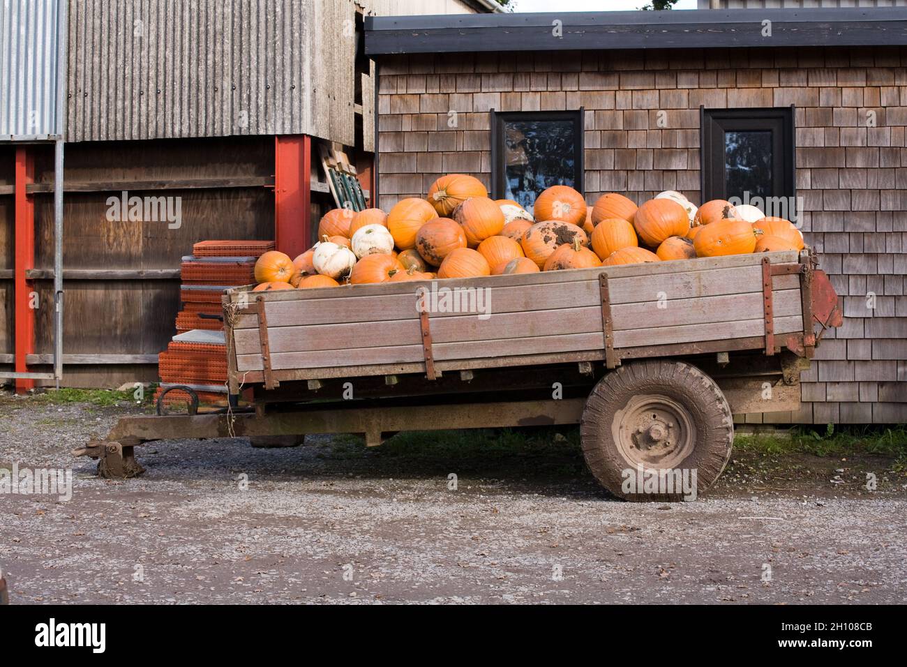 Pumpkins in trailer hi-res stock photography and images - Alamy