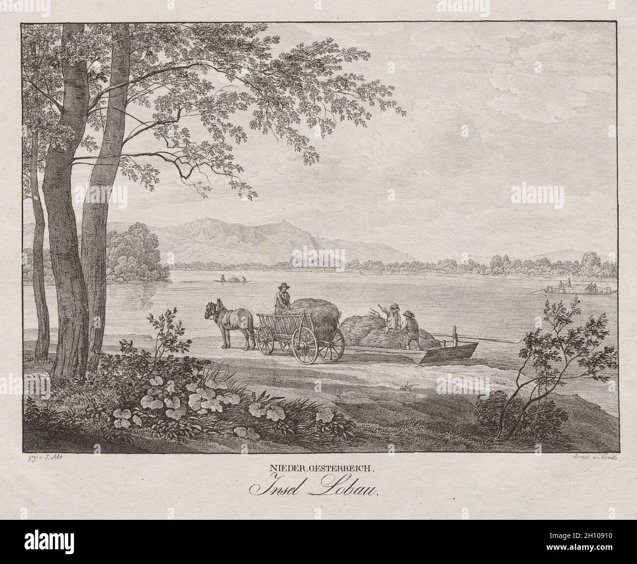 Insel lobau hi-res stock photography and images - Alamy