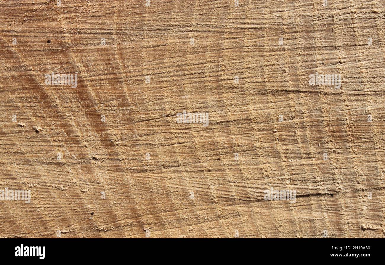 light wood with interesting grain Stock Photo - Alamy