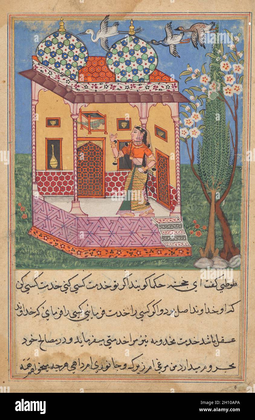 The Parrot Addresses Khujasta at the Beginning of the Twenty-sixth ...