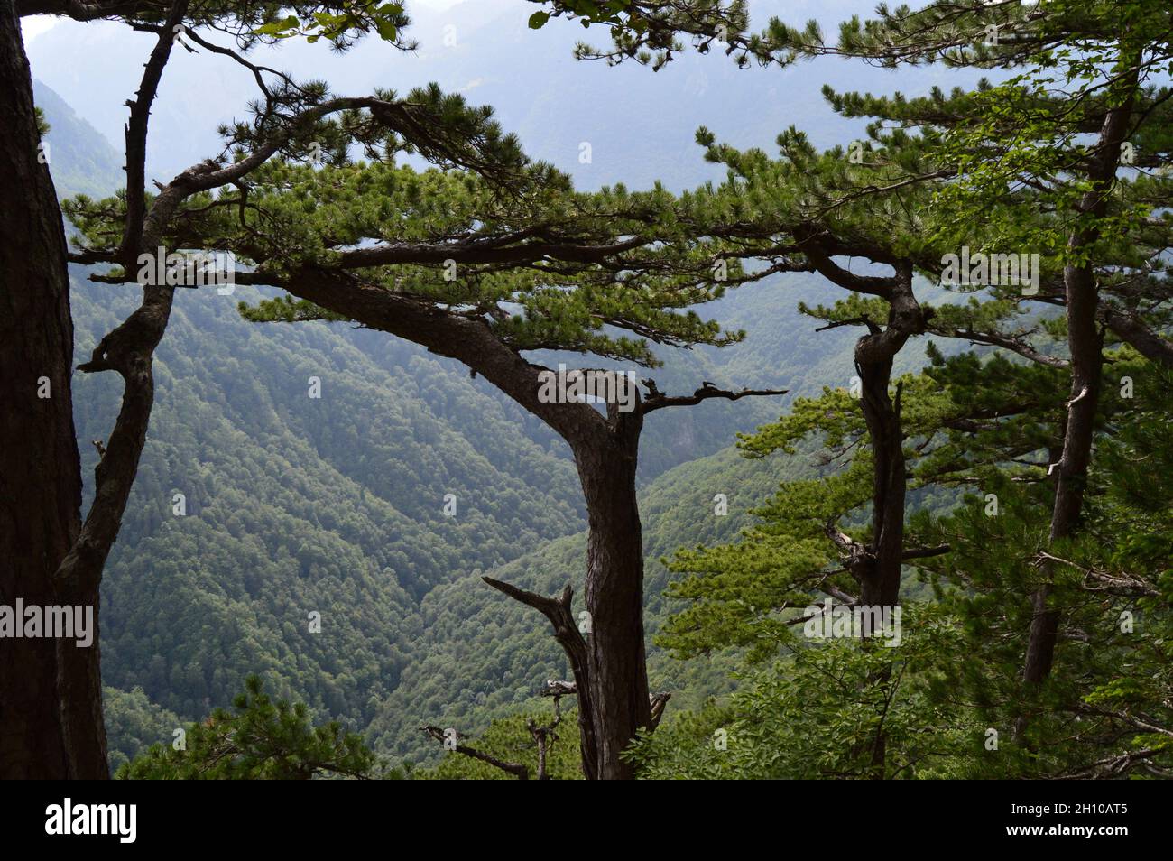 Rainforest and waterfall Perucica, Bosnia and Herzegovina Stock Photo ...