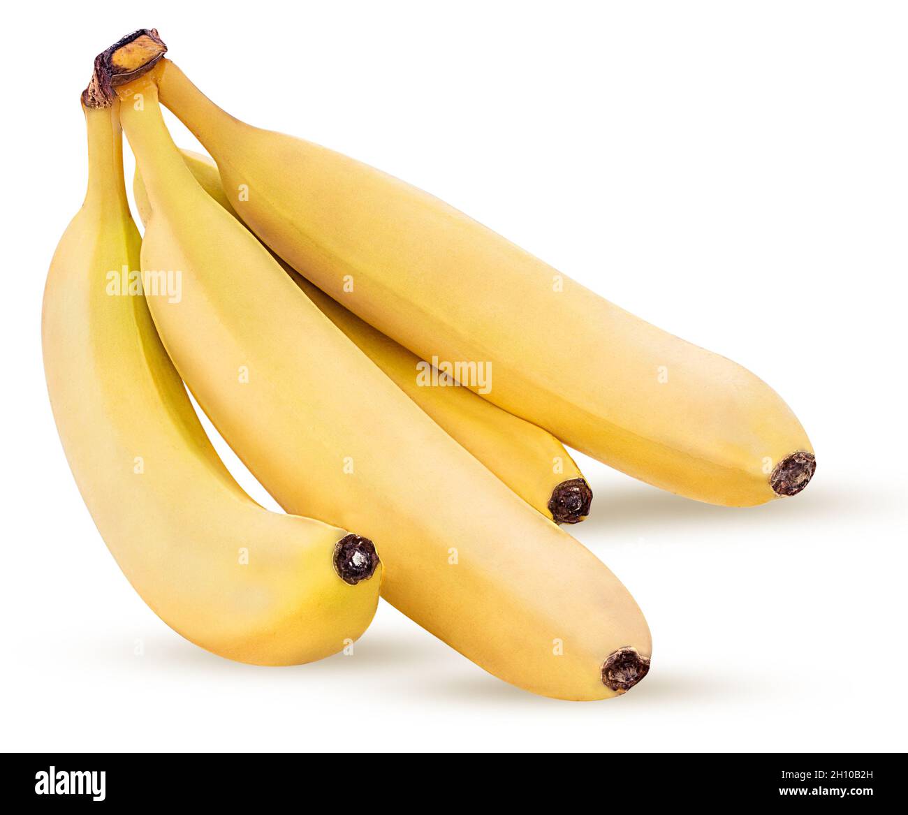 Bunch of bananas isolated on white background. Clipping Path. Full ...