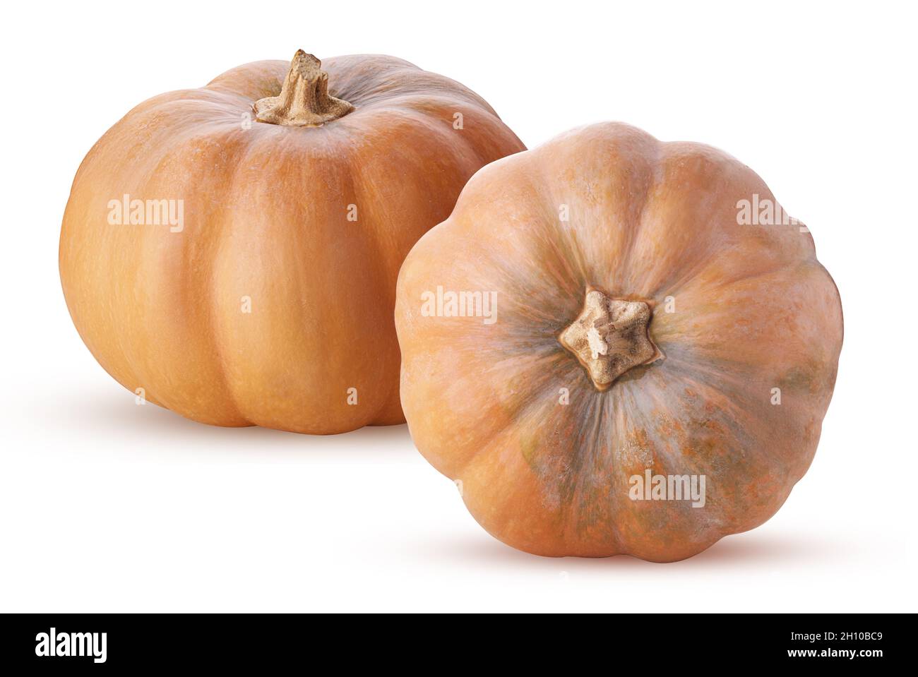 Two yellow pumpkin vegetable isolated on white background. Clipping ...