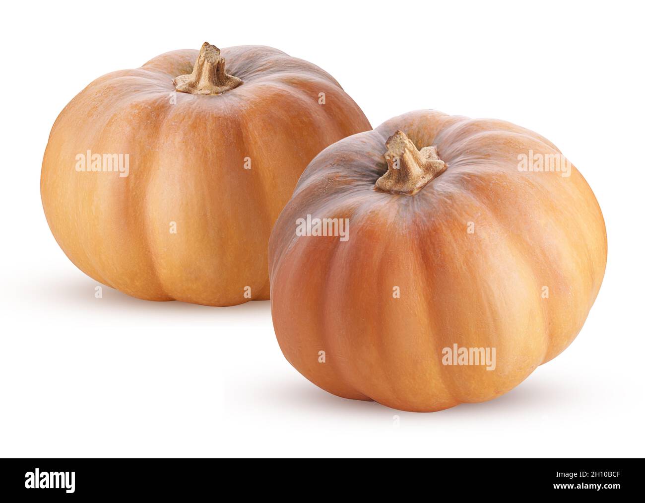 Two yellow pumpkin vegetable isolated on white background. Clipping ...