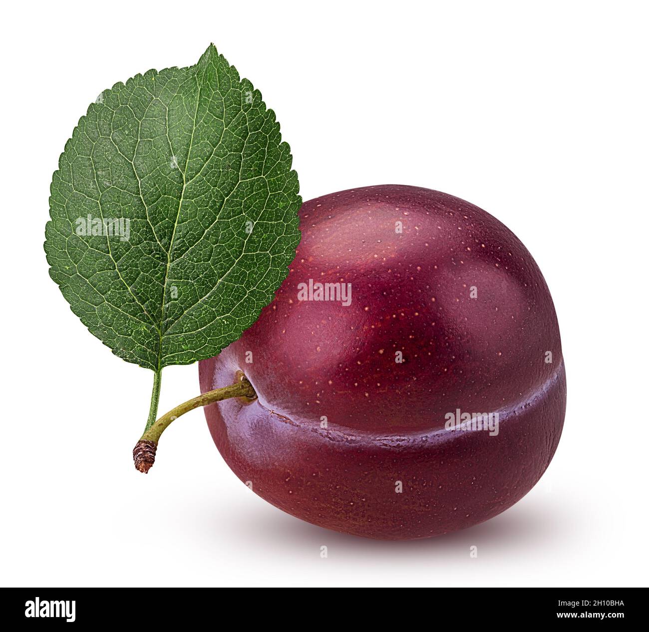 Red Plum with leaf isolated on white background Clipping Path. Full ...
