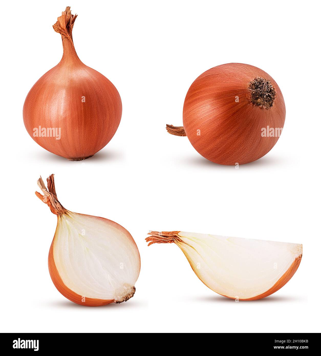 Set yellow onion bulb, whole, cut in half, slice isolated on white ...
