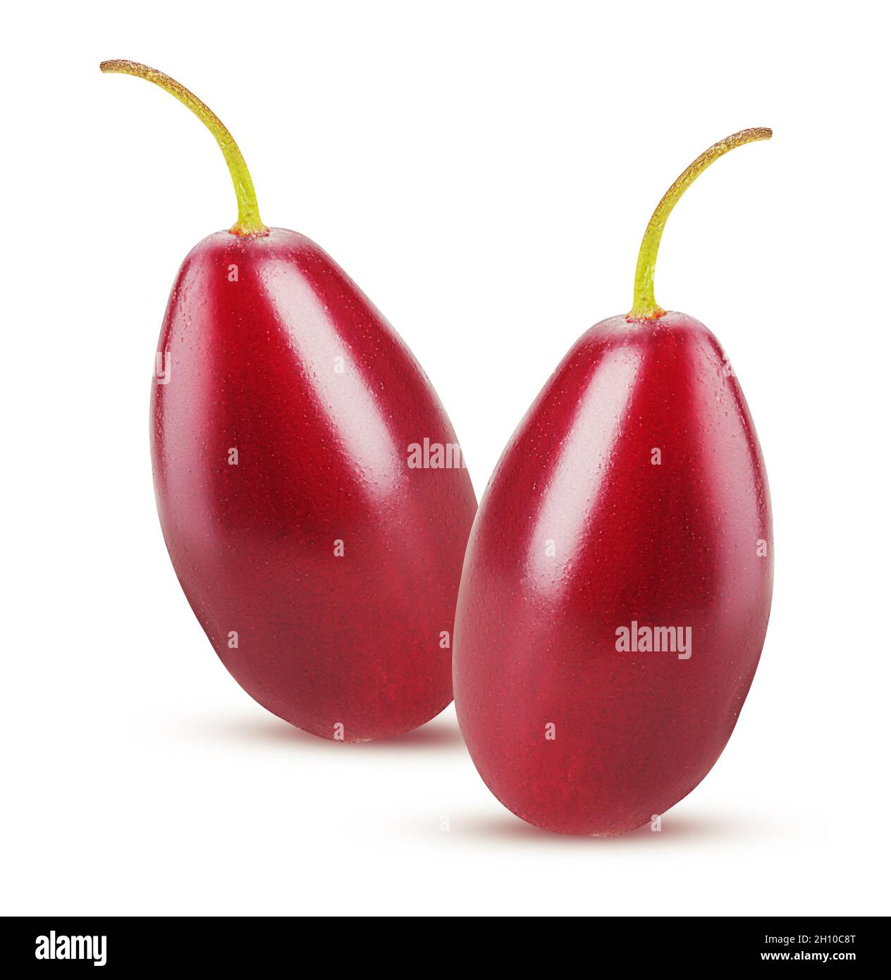 Two cornel berries isolated isolated on white background. Clipping Path ...