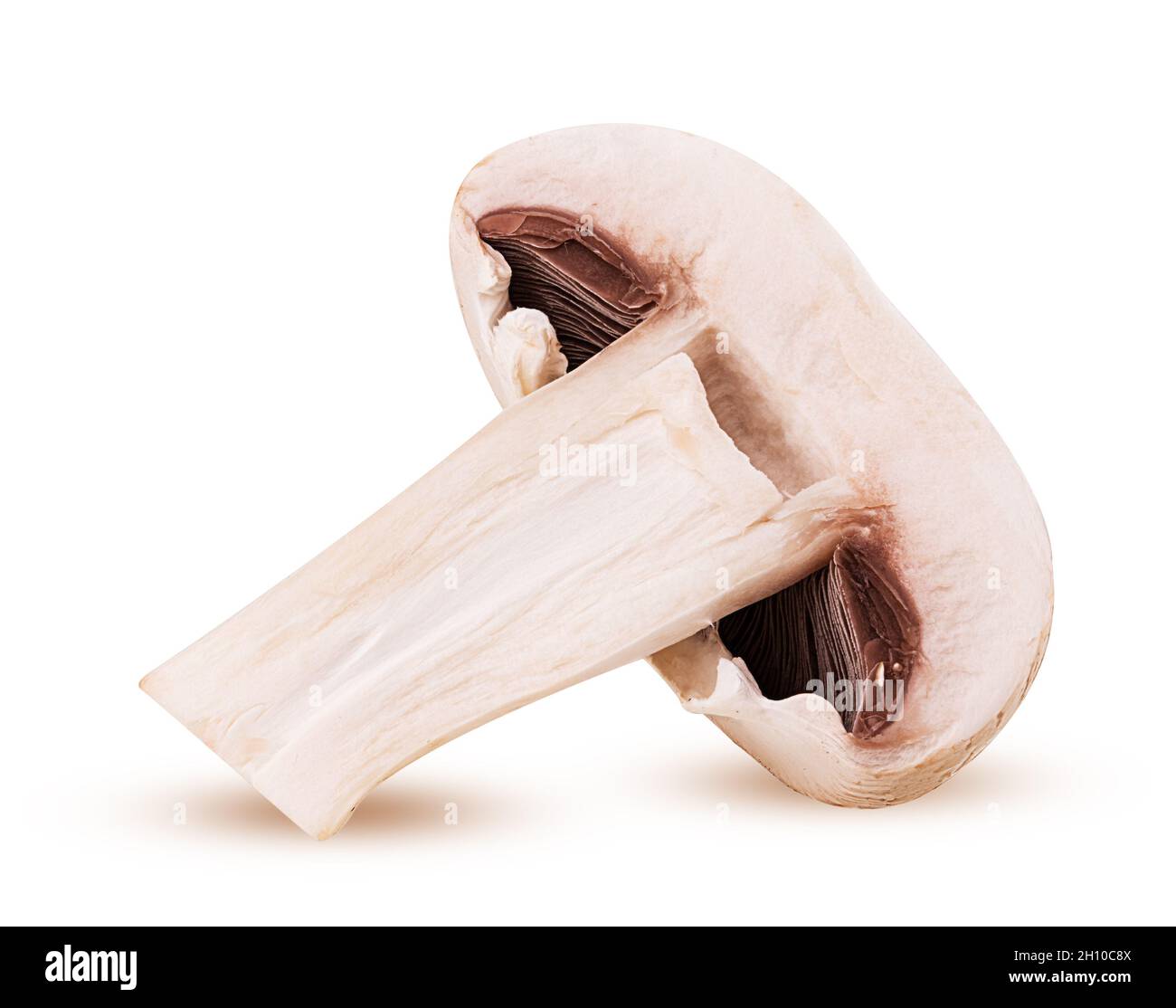 Mushroom champignon cut in half isolated on white background. Clipping ...