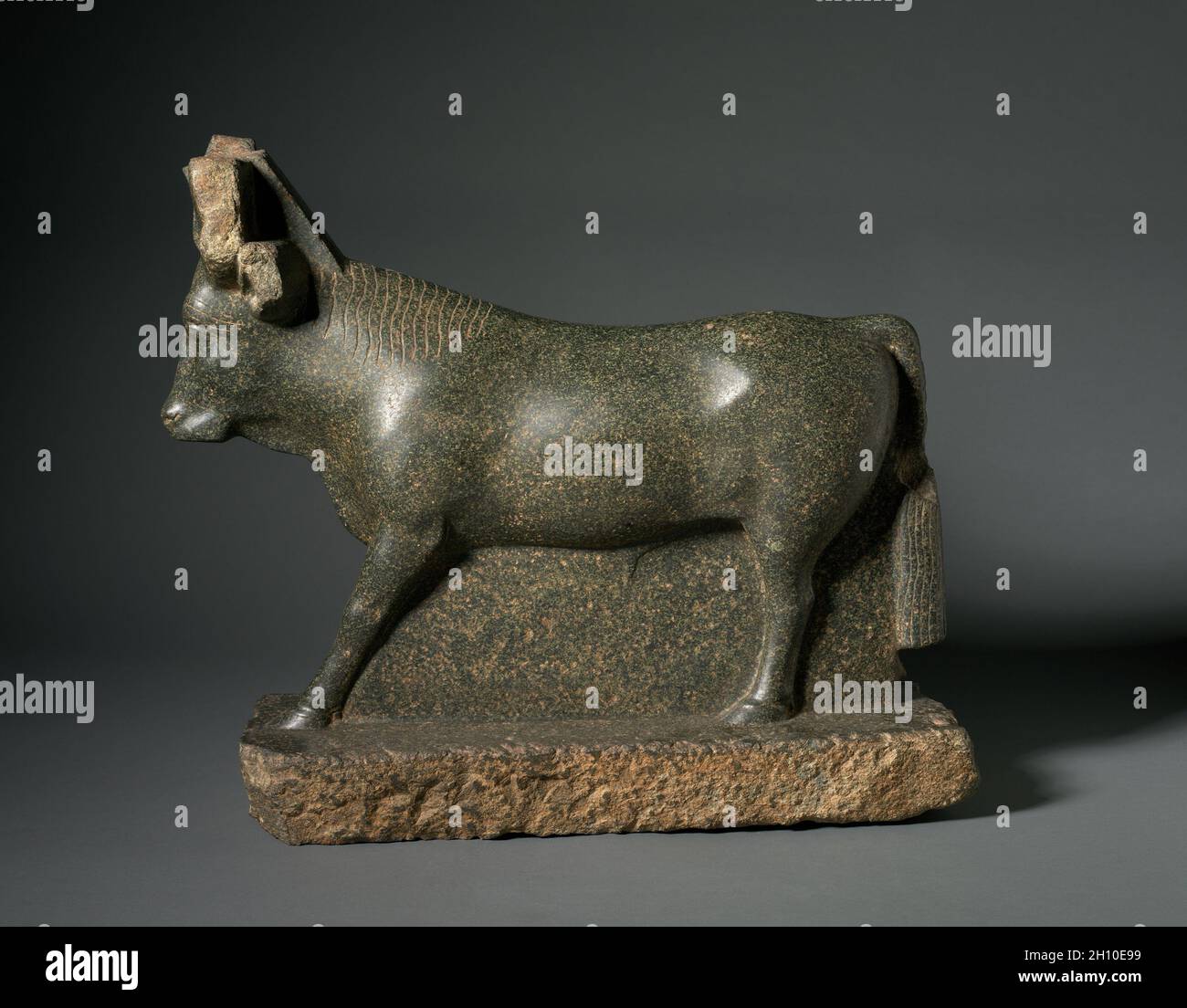 Apis Bull, 400-100 BC. Egypt, Greco-Roman Period, Ptolemaic Dynasty or ...